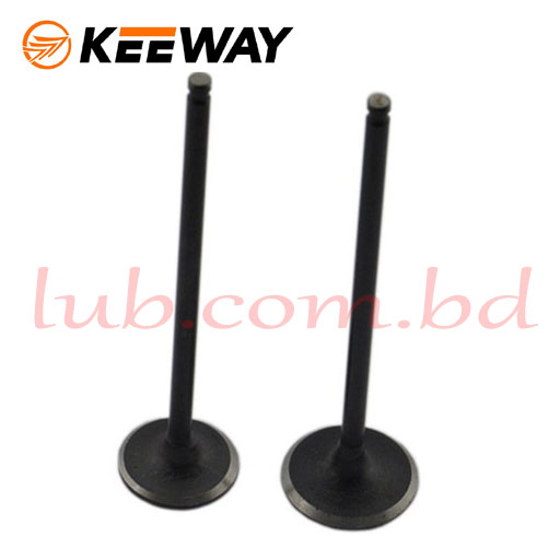 Keeway RKS125, RKV 150 Intake and Exhaust valves - Lub BD